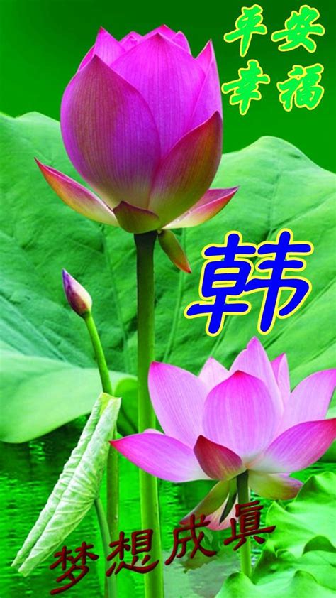 手機壁紙 百家姓 平安幸福一直陪伴著你 每日頭條