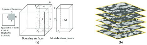 A The Schematic Diagram Of Specimen B The Two Dimensional Scanning