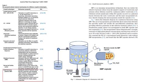 Sbp Technology A Bioaugmentation Method For Endocrine Disruptors The