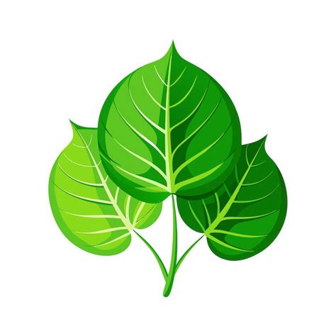 Realistic Beautiful Leaves Vector Illustration Premium Ai Generated Vector