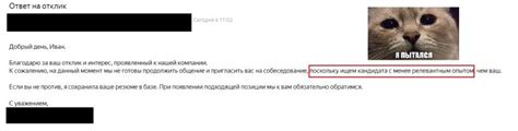 Ivan Strizhkin в Linkedin Qa Opentowork Feedback Seniorqa Manualqa Belarus Humor 23