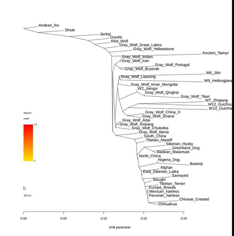 Figure S The Maximum Likelihood Tree Based On Treemix With M For