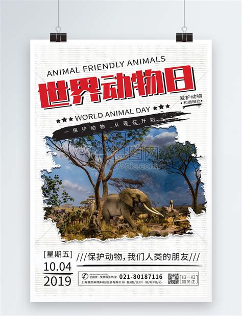 世界动物日保护动物宣传海报模板素材 正版图片401631165 摄图网
