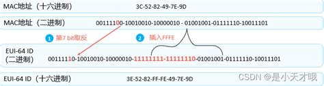 Ipv6 地址分类lla Gua Csdn博客