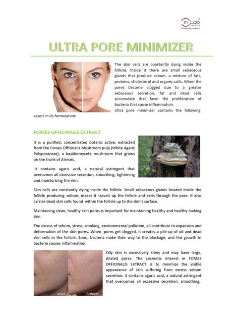 Pore Minimizer English Fomes Pdf Skin Integumentary System
