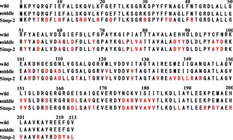 Amino Acid Sequences Of The Wild Type And Two Simplified Variants Of