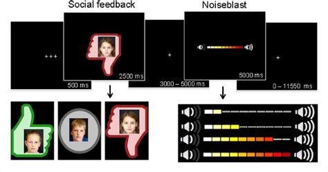 Figure 1 From Behavioral And Neural Responses To Social Rejection Individual Differences In