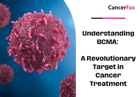 Understanding Bcma A Revolutionary Target In Cancer Treatment