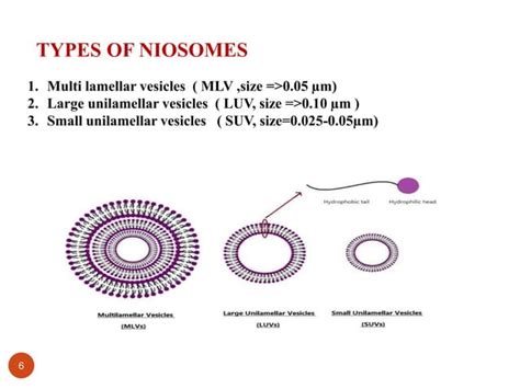 Niosomes Ppt Presentation Bandm Pharma Slidespptx