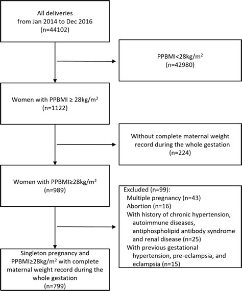 Derivation Of The Study Cohort Download Scientific Diagram