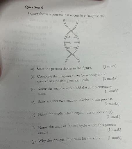 Question 6figure Shows A Process That Occurs In Eukaryotic Cella Sta