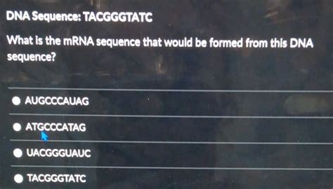 Solved Dna Sequence Tacgggtatc What Is The Mrna Sequence That Would