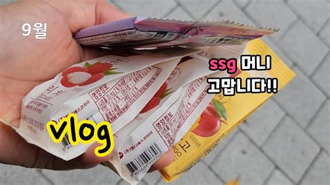 Ssg머니 사용하기 9월 3째주 생활비정산 [양배추김밥만들기] 4인가족가계부브이로그 Youtube