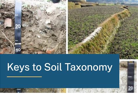 Keys To Soil Taxonomy Th Edition Is Now Available Online High Plains Journal