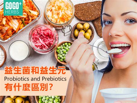 What Is The Difference Between Probiotics And Prebiotics Gogo Herbs