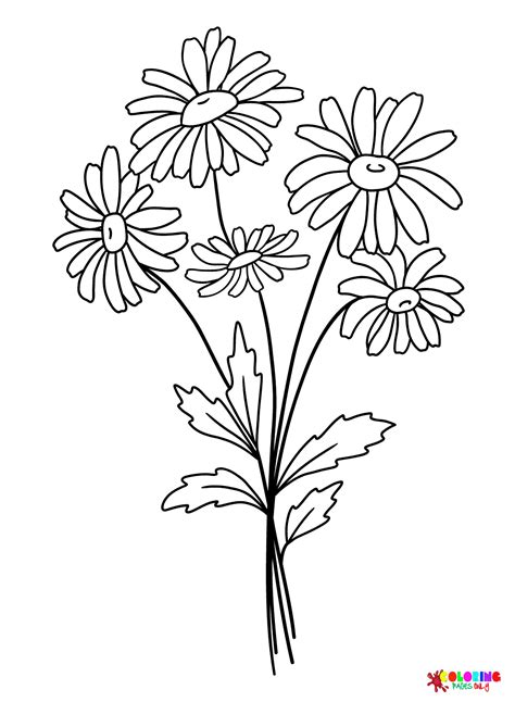 30 Daisy Coloring Pages Free Printable Pdf And Online Coloring