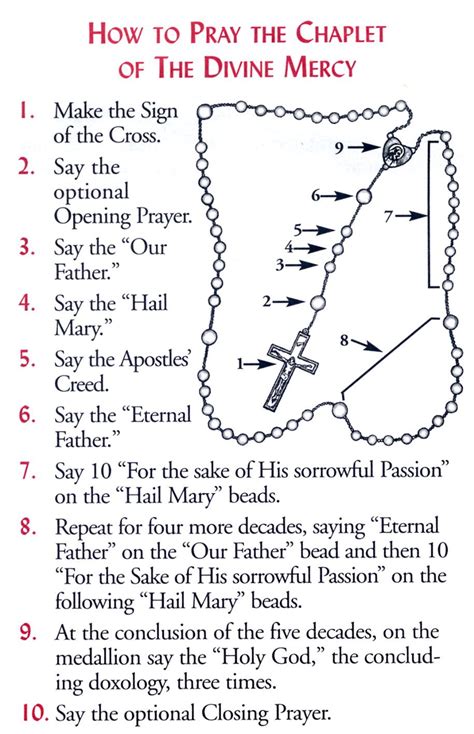 How To Pray The Divine Mercy Chaplet Infographic Divine Mercy Reverasite
