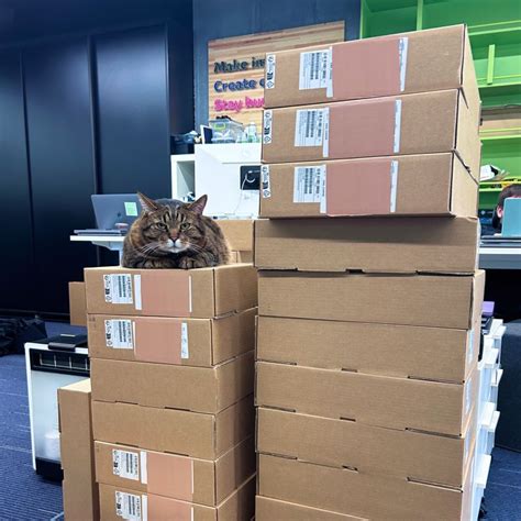 macpaw foundation on linkedin the macpaw foundation is a bustling hub