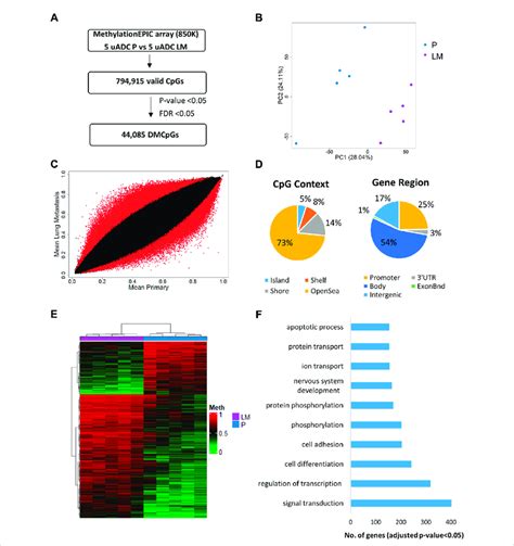 Genome Wide Dna Methylation Analysis Of The Itf In Paired Tumors Of
