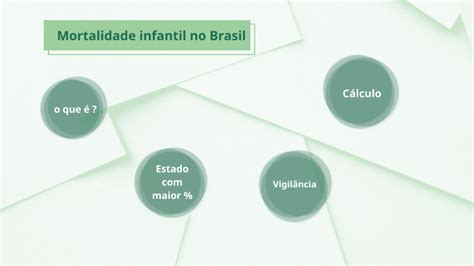 Mortalidade Infantil No Brasil By Bruna Godoy Ferreira On Prezi