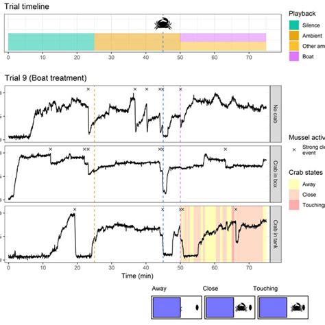 The Timeline Of A Trial Top Panel And The Data Of An Example Trial Download Scientific