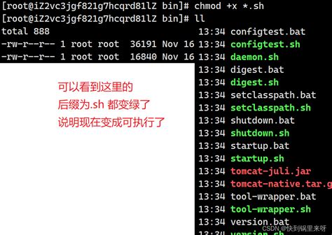 Linux 在 Linux 上搭建 java 部署环境 安装jdk tomcat mysql 将程序部署到云服务器上的操作 极客之音
