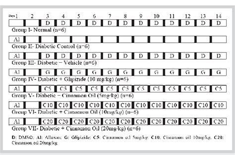 Schematic Diagram Of Experimental Protocol Download Scientific Diagram