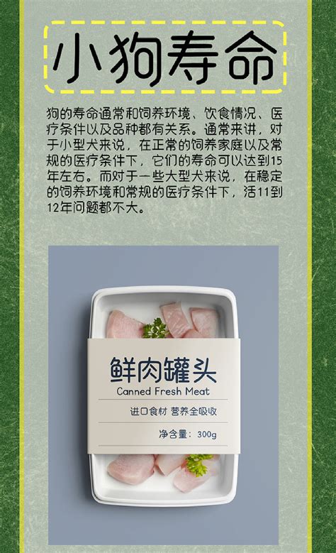 圆体字体合辑｜世界破破烂烂，小狗缝缝补补aafont 站酷zcool