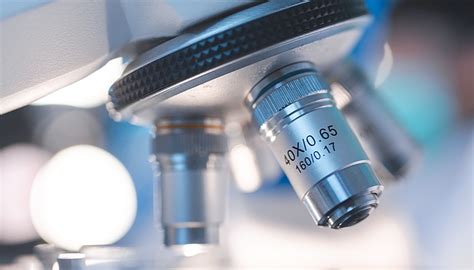 Israeli German Project Invetsigates The Role Of Intracellular Players In Reading Mrna Cogeril