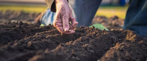 Variable Rate Seeding Making Every Hybrid Count