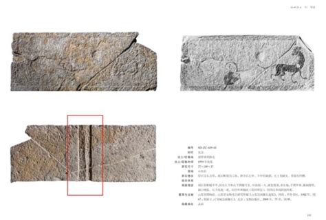 《汉画总录·邹城卷》编辑笔记—徐呈瑞：编辑细节及札记 北京大学汉画研究所