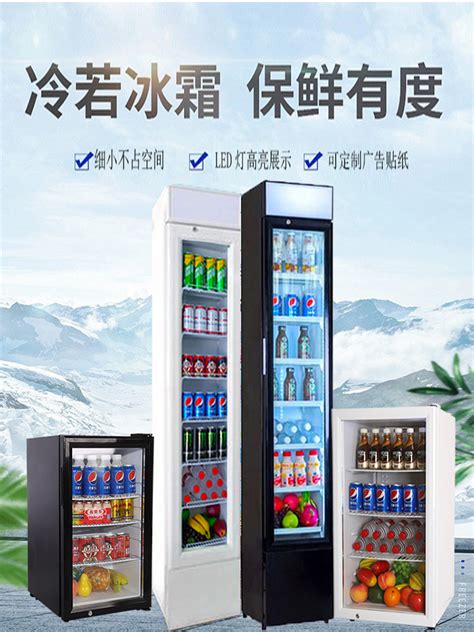 冷藏展示柜商用立式小型冰箱冷冻单门玻璃迷你家用啤酒饮料保鲜柜 虎窝淘