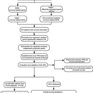 Workflow Chart Of Data Generation And Analysis Download Scientific Diagram