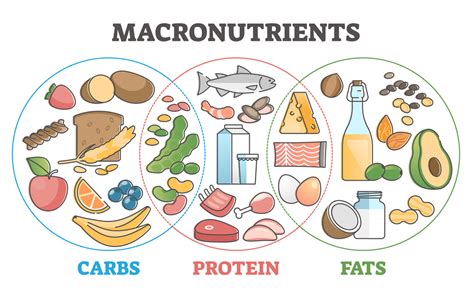 The Power Of Macronutrients A Simplified Guide To A Healthier You