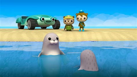 Octonauts Above And Beyond Series 4 20 Hawaiian Monk Seals Signed