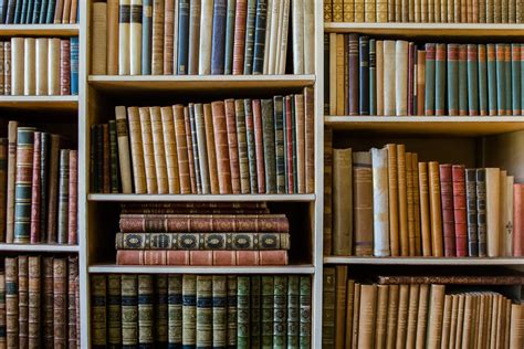【2025年版】本当に面白いおすすめ小説13選【感動、ミステリー、マイナー、名作まで！】 うまづら