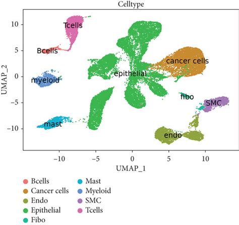 Definition Of Cell Groupings A Clustering Map Of Single Cell At