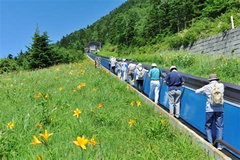 Go Nagano