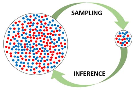 Gen Bus 306 Decision Trees And Sampling Flashcards Quizlet