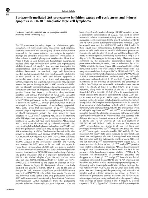 Pdf Bortezomib Mediated 26s Proteasome Inhibition Causes Cell Cycle