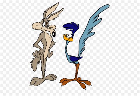 Wile E Coyote And The Road Runner Bugs Bunny Looney Tunes Cartoon