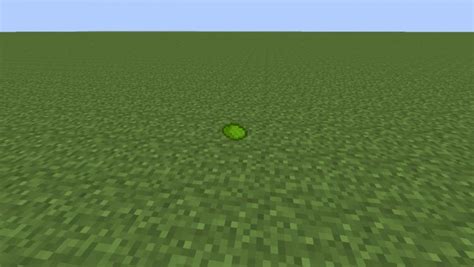 Frogs In Vanilla Only One Command Block Minecraft Map