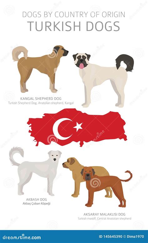 Perros Por El Pa S De Origen Razas Turcas Del Perro Sistema De Los