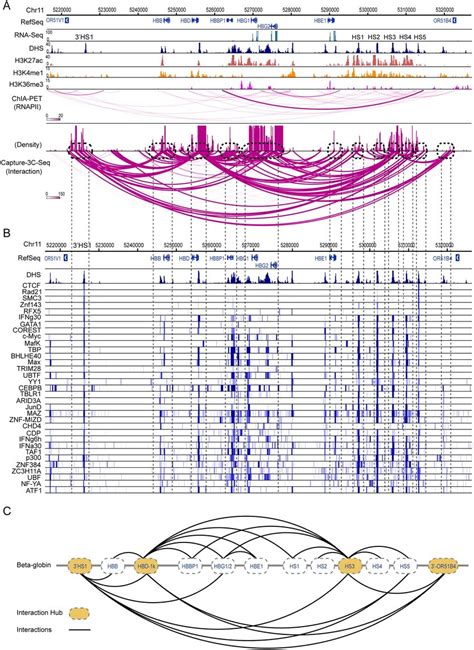 Integrative And Topological Analysis Of Long Range Interactions And Tf Download Scientific