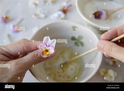 Crystallized Candied Edible Flowers With Egg Whites And Sugar Stock