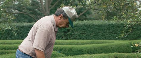 Pruning And Trimming Methods For Perfectly Maintained Gardens