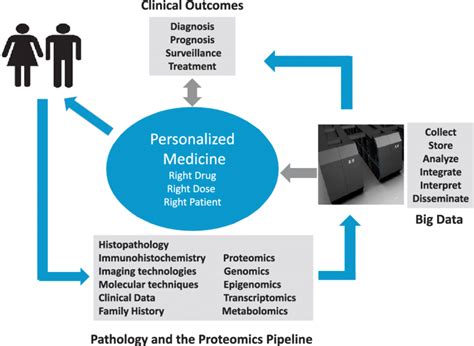 The Proteomics Pipeline And Personalized Medicine Schematic Showing