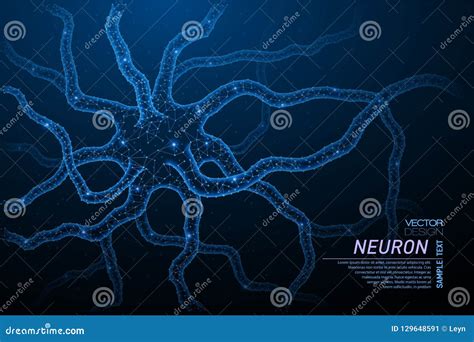 Neuron Structure Nerve Cell Flat Vector Illustration CartoonDealer
