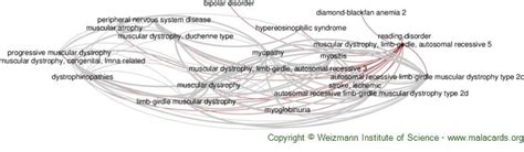 Muscular Dystrophy Limb Girdle Autosomal Recessive 5 Disease