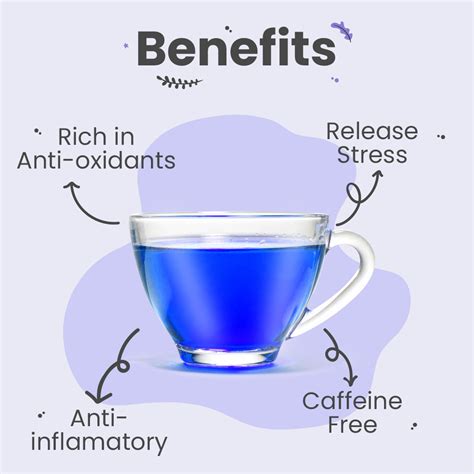 Buy Butterfly Pea Flower Tea 100 Teabags Blue Tea